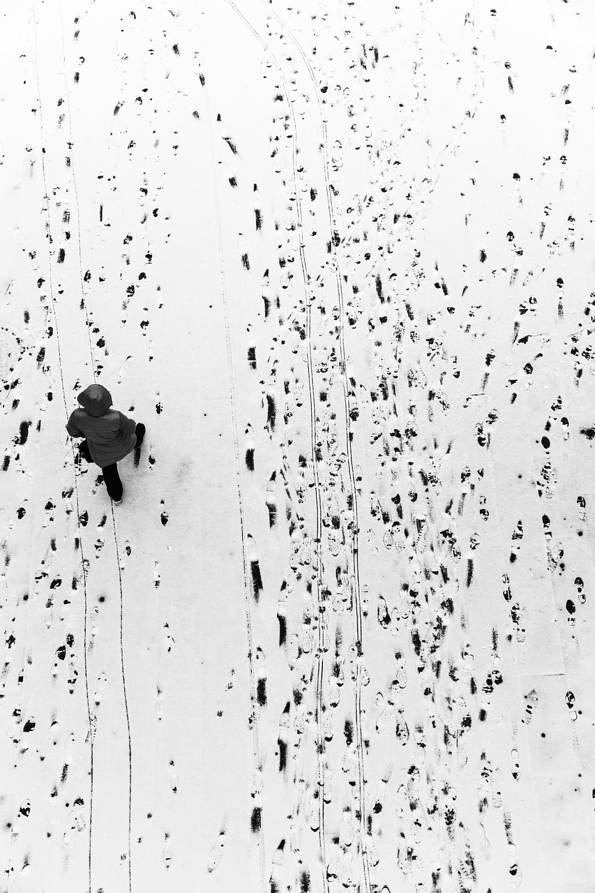 Les sorties - Tout le monde sur scène!